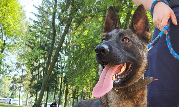 Pułtusk ma nowego psa - Policja.pl - Portal polskiej Policji